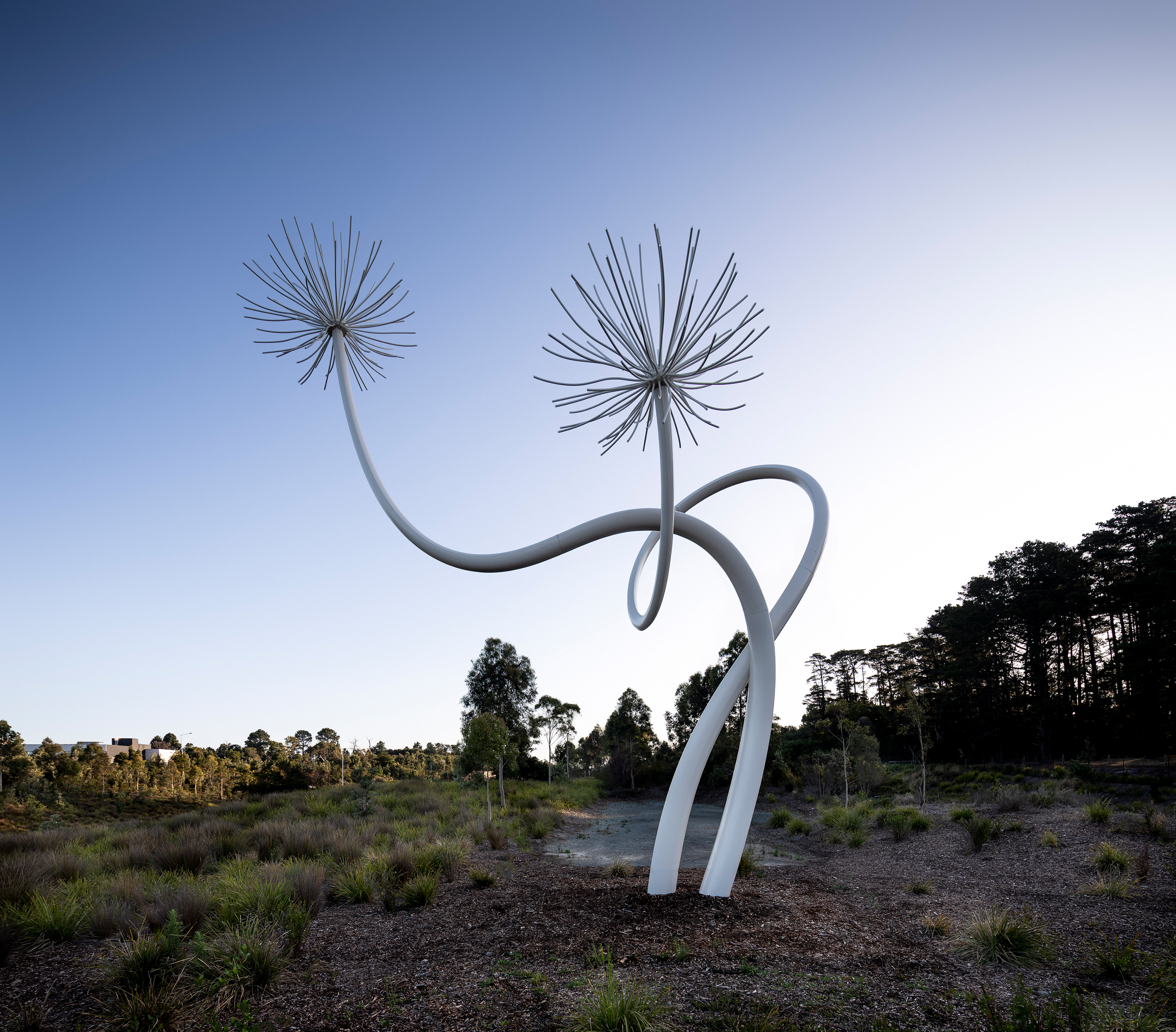 John Meade | McClelland Gallery